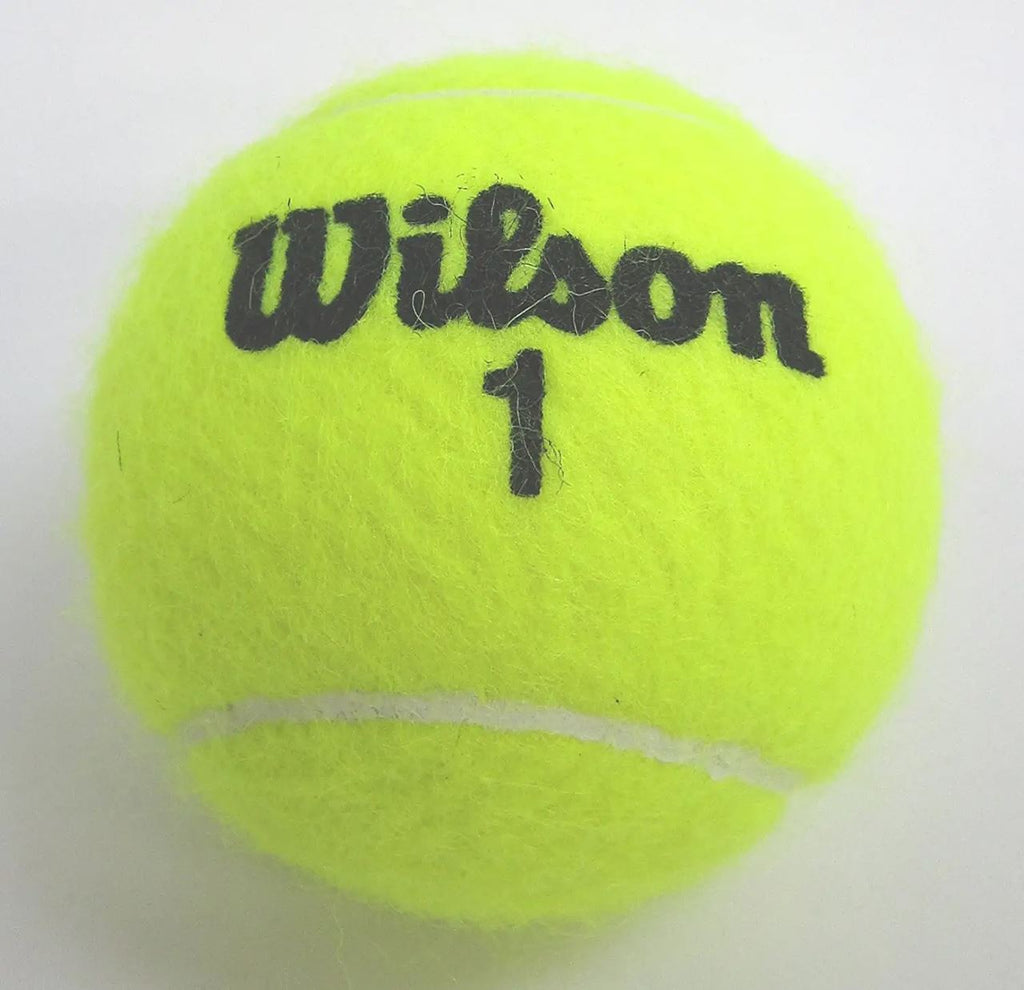 Tennis Ball Set (3 balls) Wilson | Amman Jordan | Barakasports ...